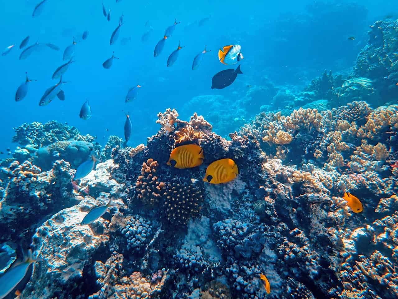 Exploring The Depths: The Fascinating World Of Underwater Hotels In ...
